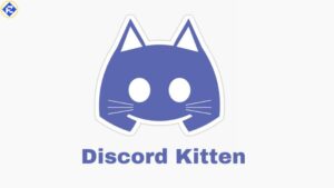 Discord Kitten: All You Need to Know in 2025 {FULL GUIDE}